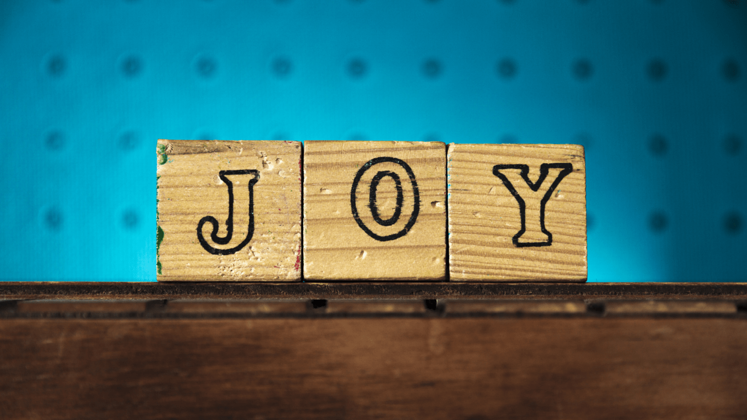 Creating Joy In Your Business - Nettie Owens